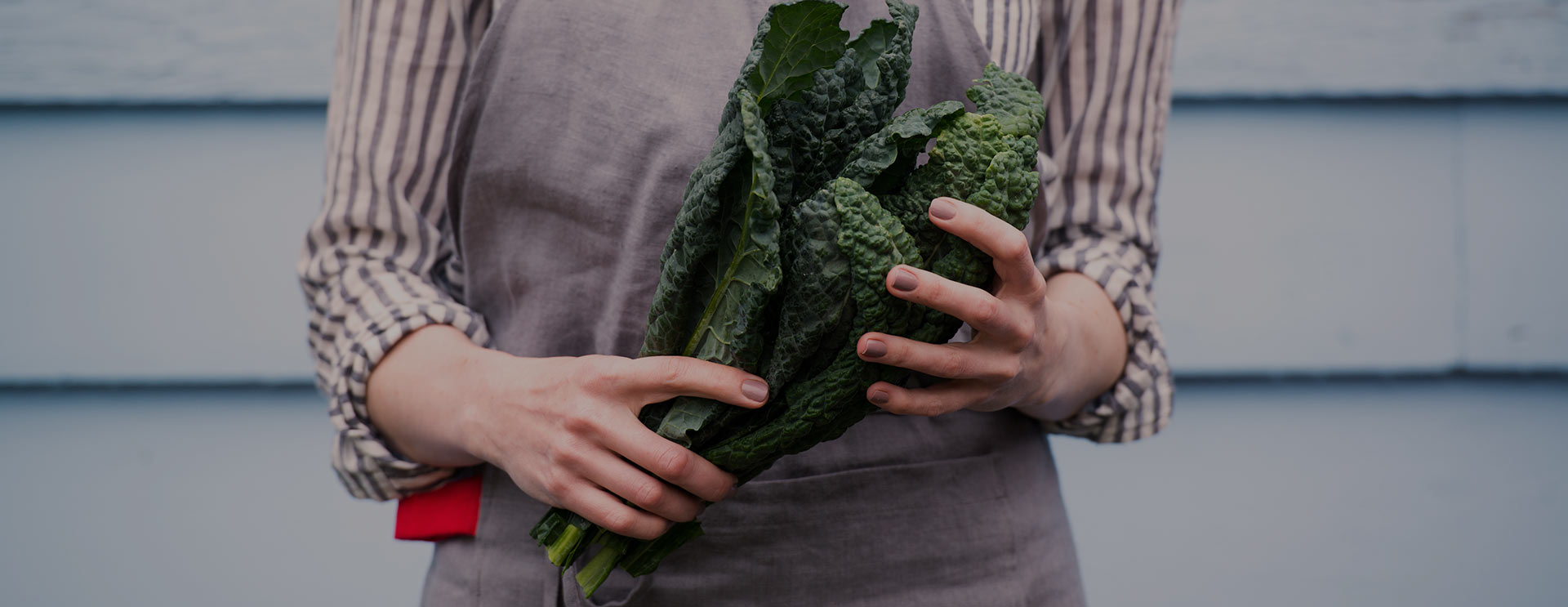 Everyday Fresh – Pivot Meals